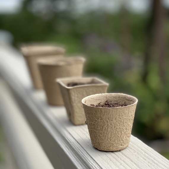 5cm Eco Round Fibre Biodegradable and Compostable Plant Pots