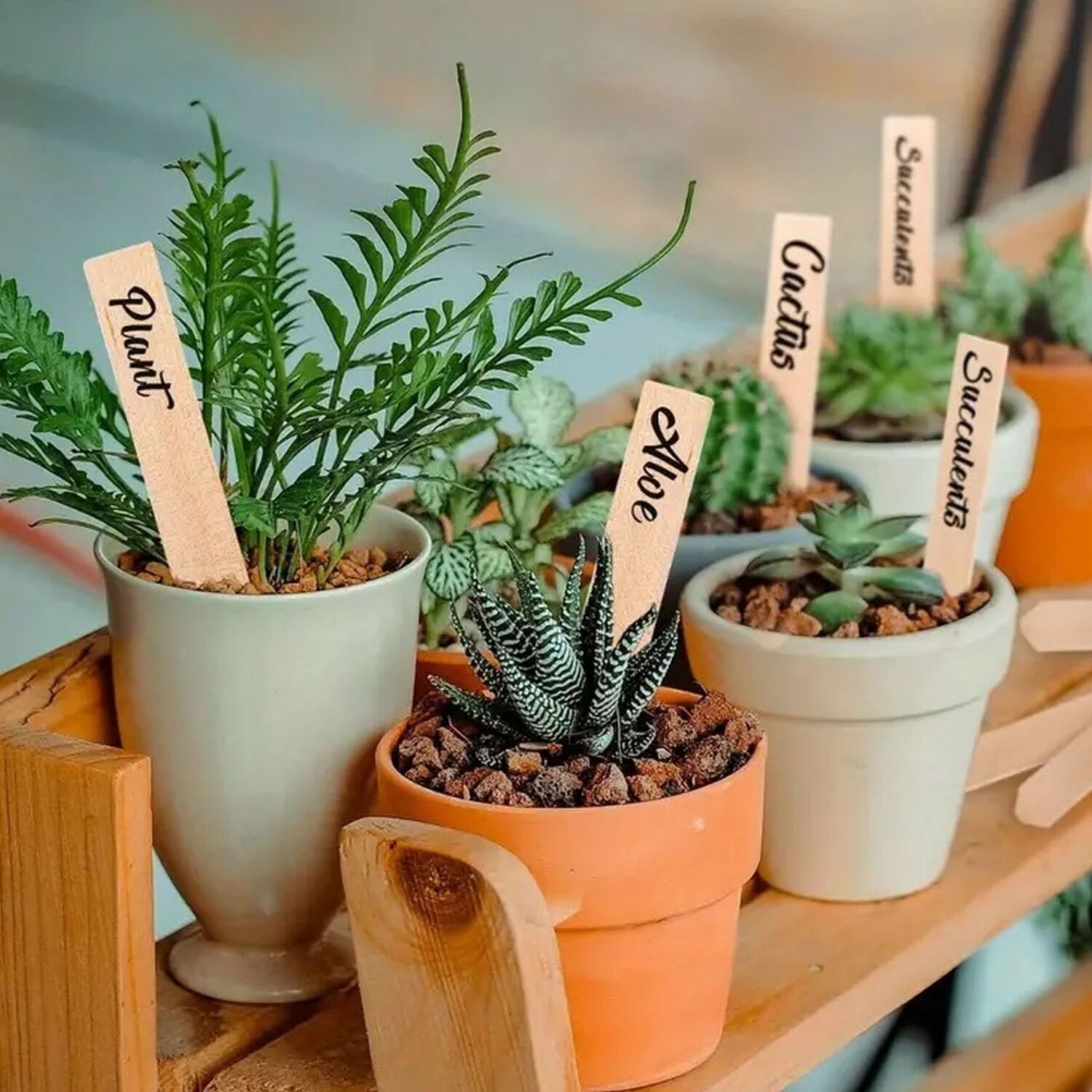 10 Wooden Bamboo Plant Labels With Pencil Plant Pot Markers 15cm