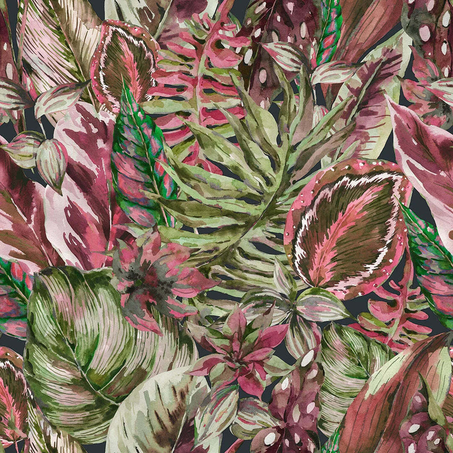 The Range Jungle Fever Wallpaper