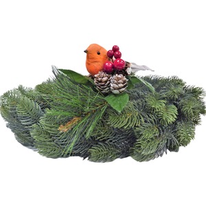 Robin Pine Cone Pick