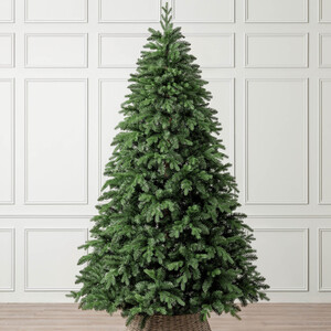 Fraser Fir Christmas Tree