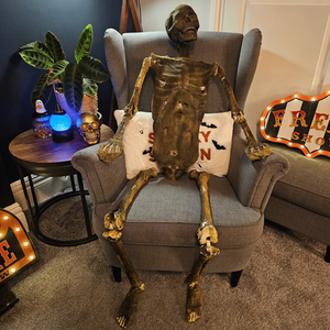 Full Body Halloween Mummified Skeleton with Posable Joint