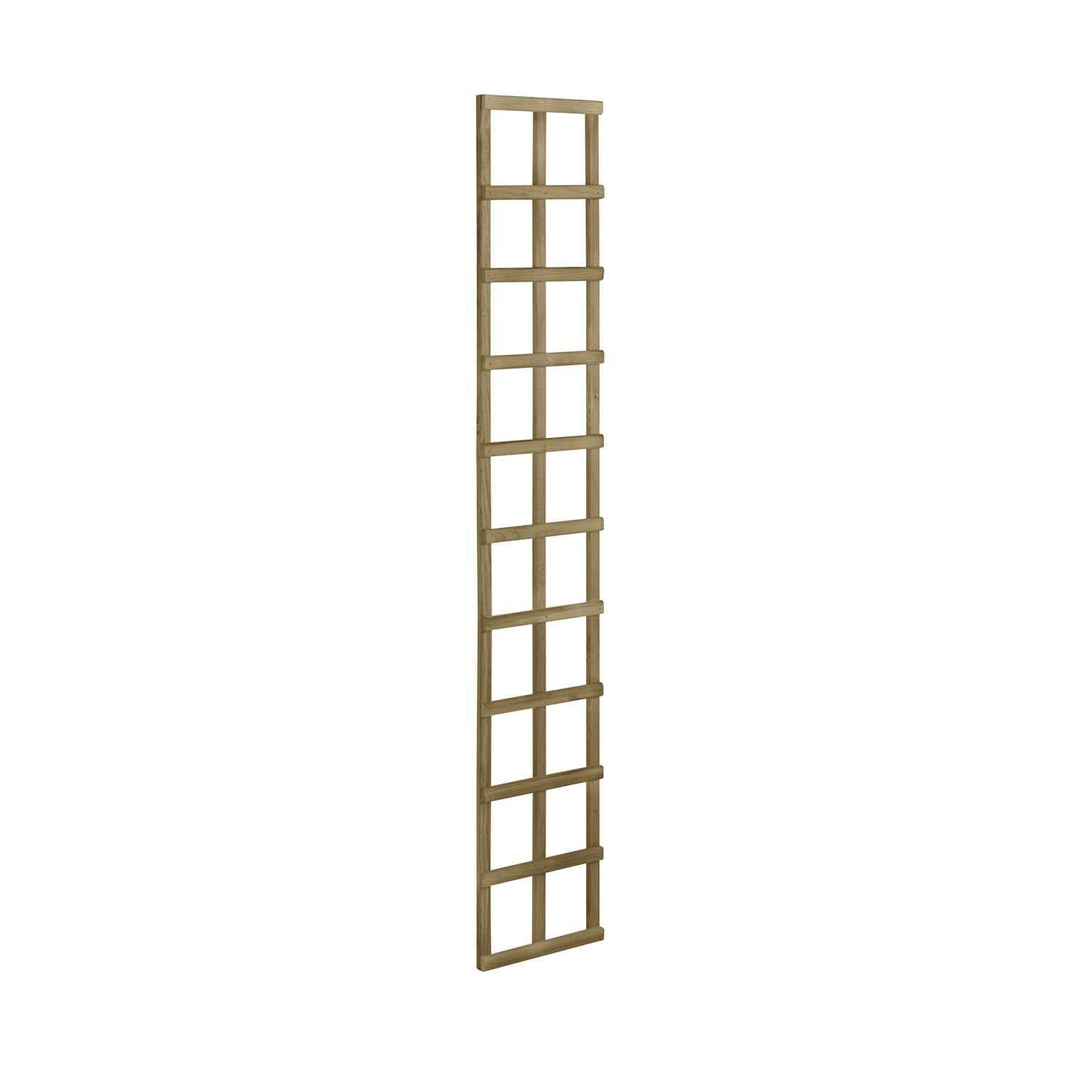 Traditional Trellis