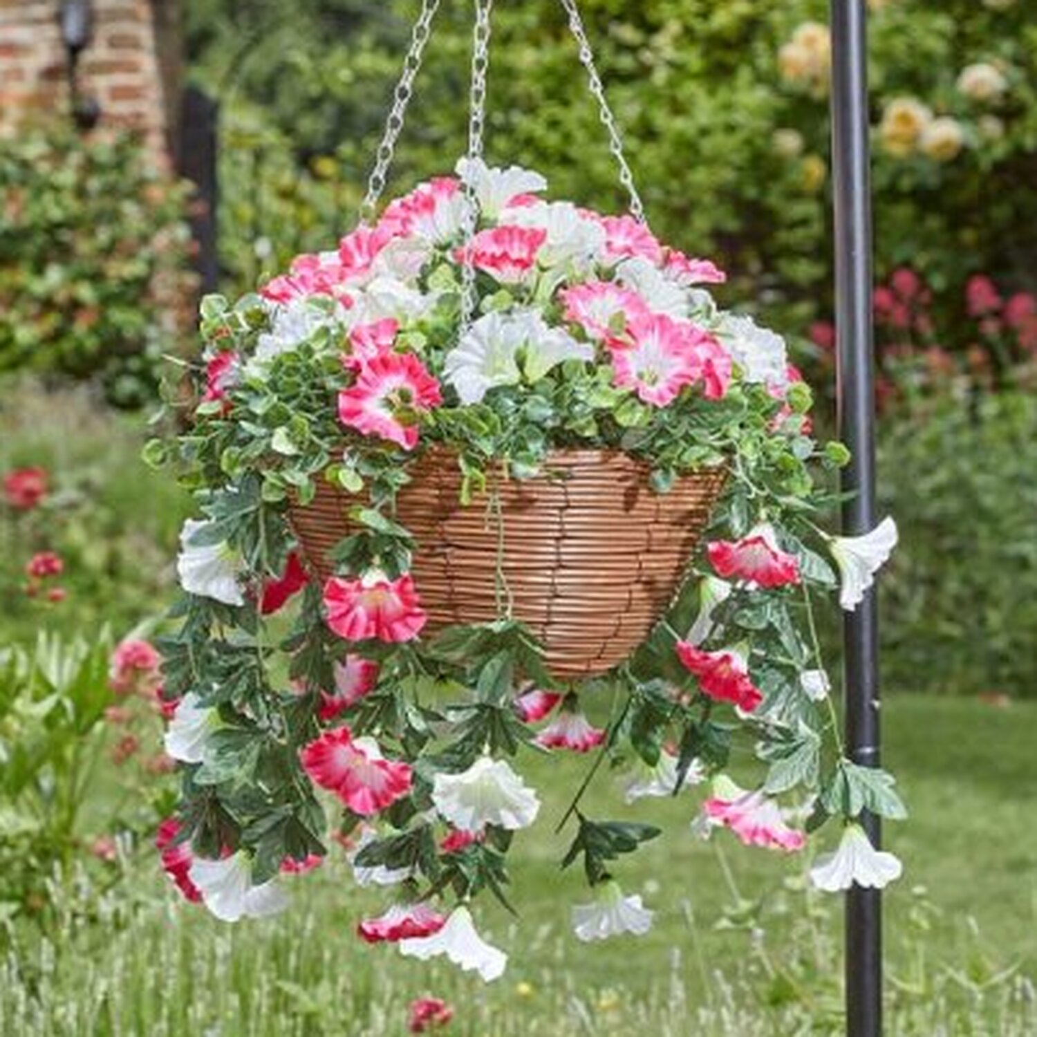 Summer Bloom Hanging Basket