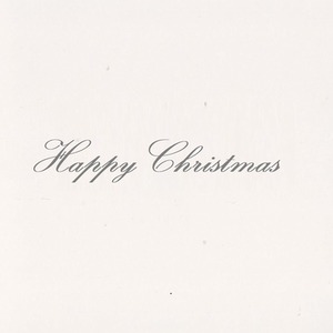 20 Robin Christmas Cards Traditional Red Robin Cards With Envelopes