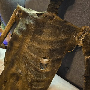 Full Body Halloween Mummified Skeleton with Posable Joint