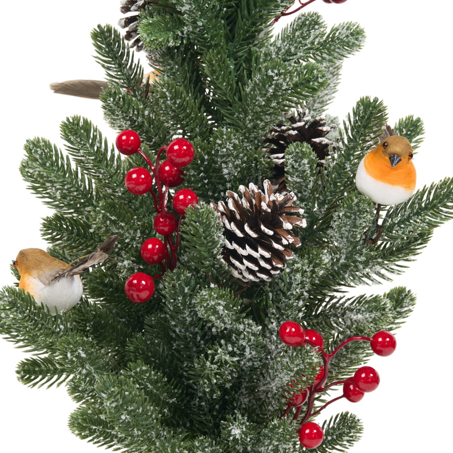 Robin Berry Potted Tree