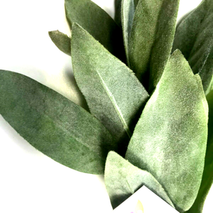 Pack of 3 Sage Flocked Leaf Pale Green Foliage Sprays Plants