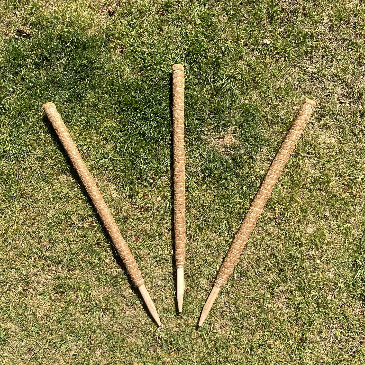 Coco Fibre Palm Stick Plant Supports
