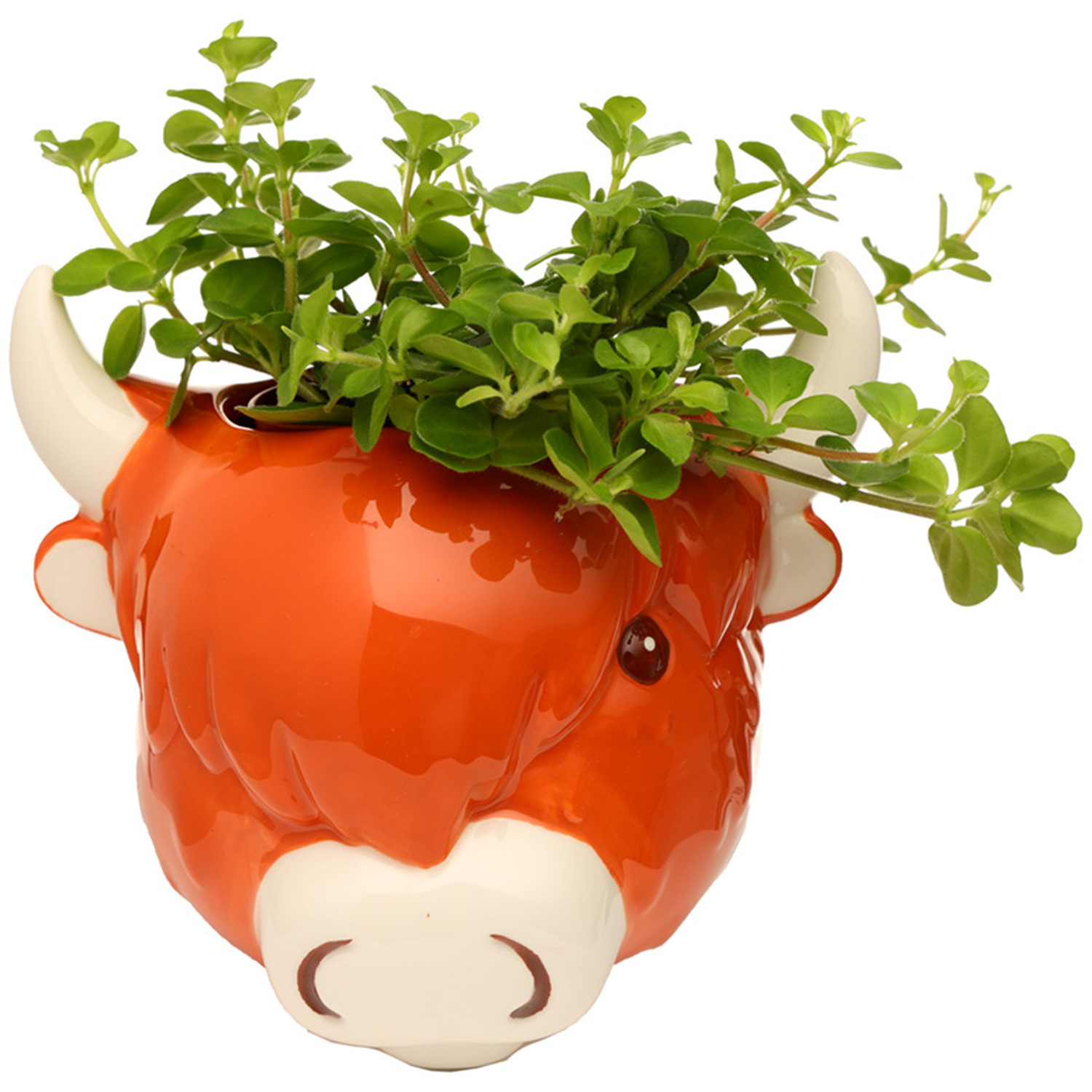 Ceramic Indoor Shaped Wall Planter Plant Pot - Highland Coo Cow