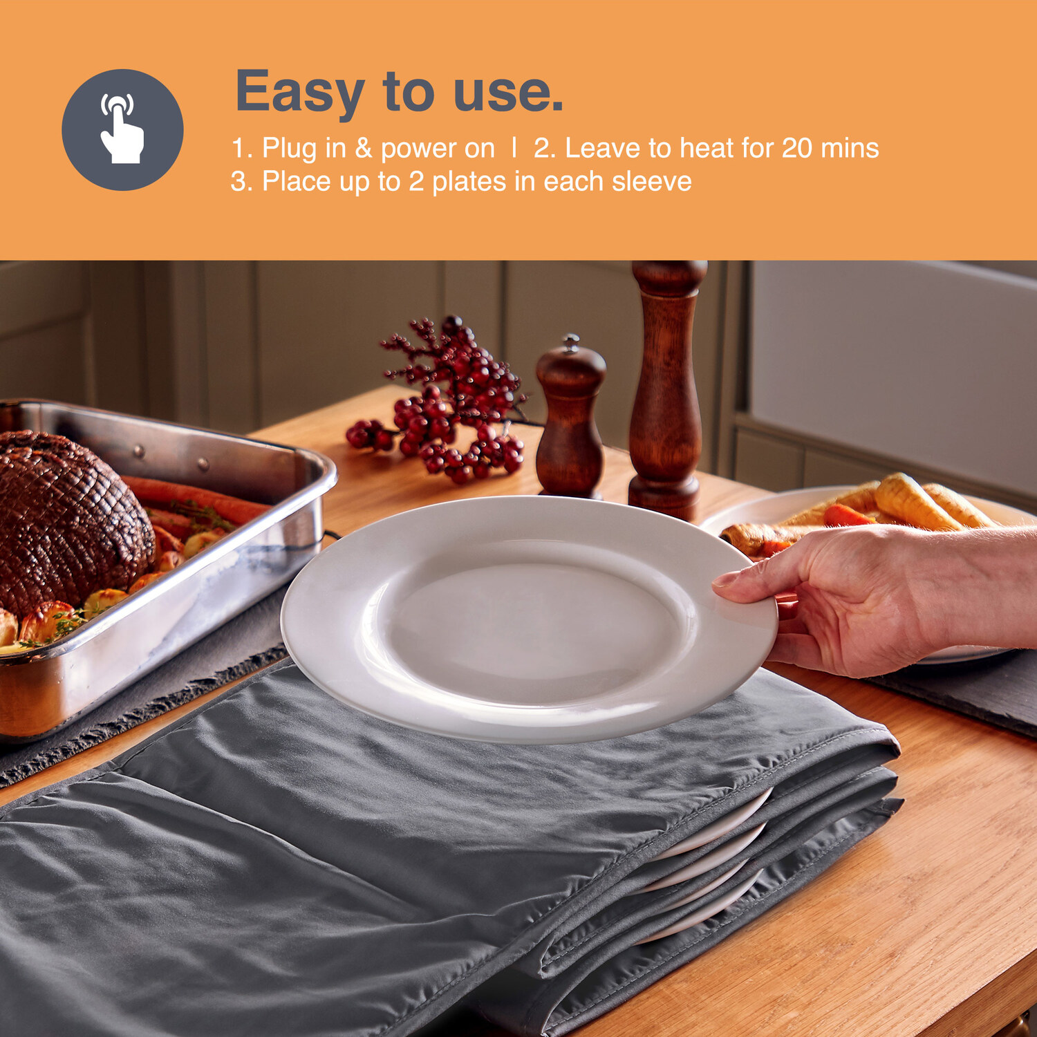 Electric Plate Warmer