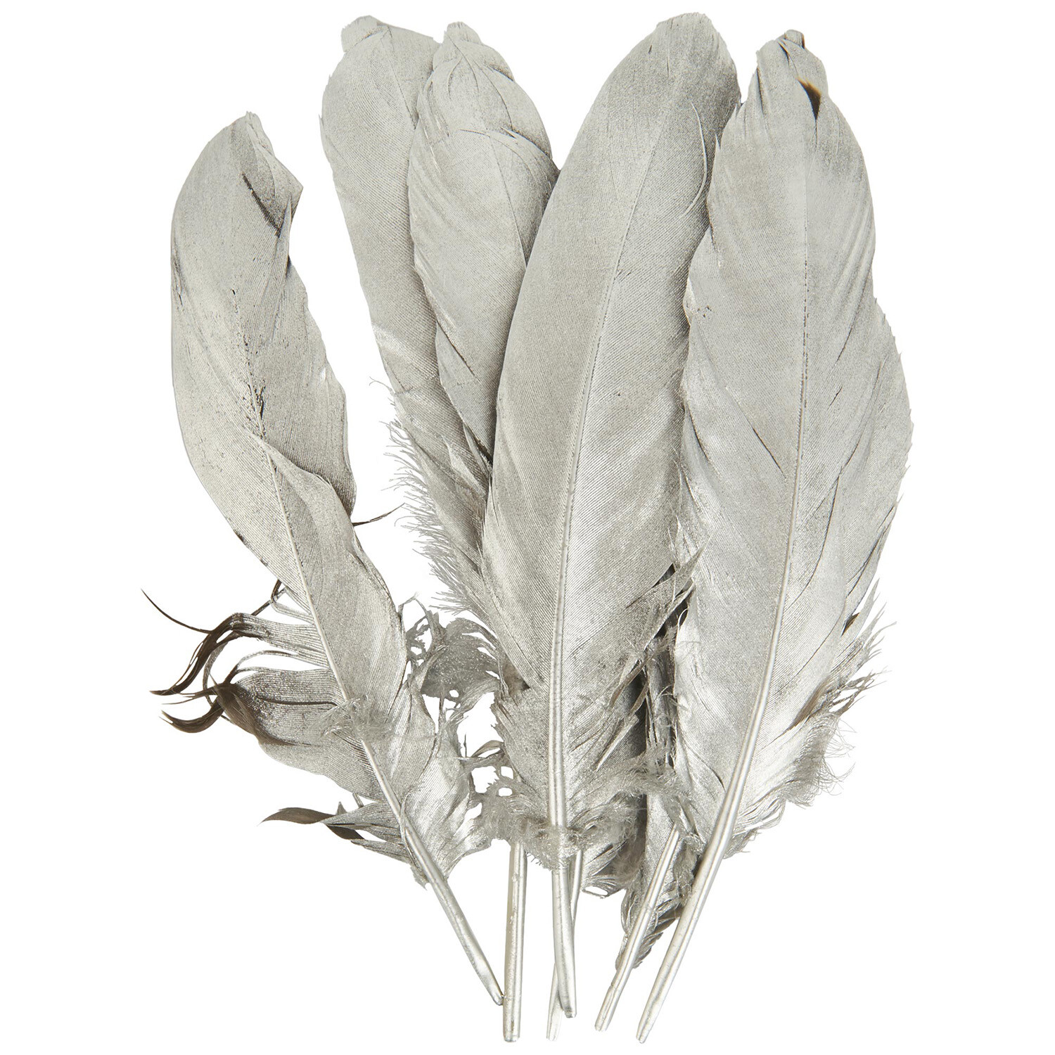 Pack of 6 True Moments Gold or Silver Feathers