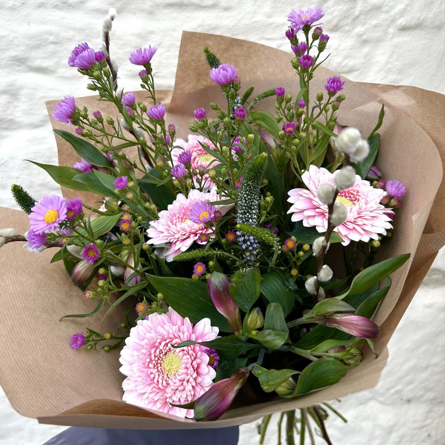 Pretty Germini Selection