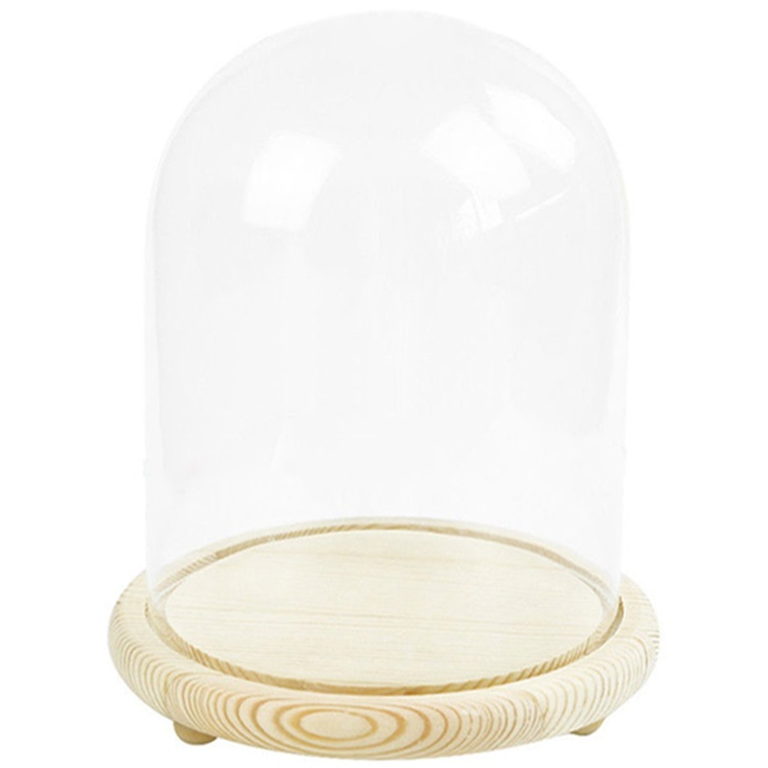 Decorative Glass Dome with Wooden Base