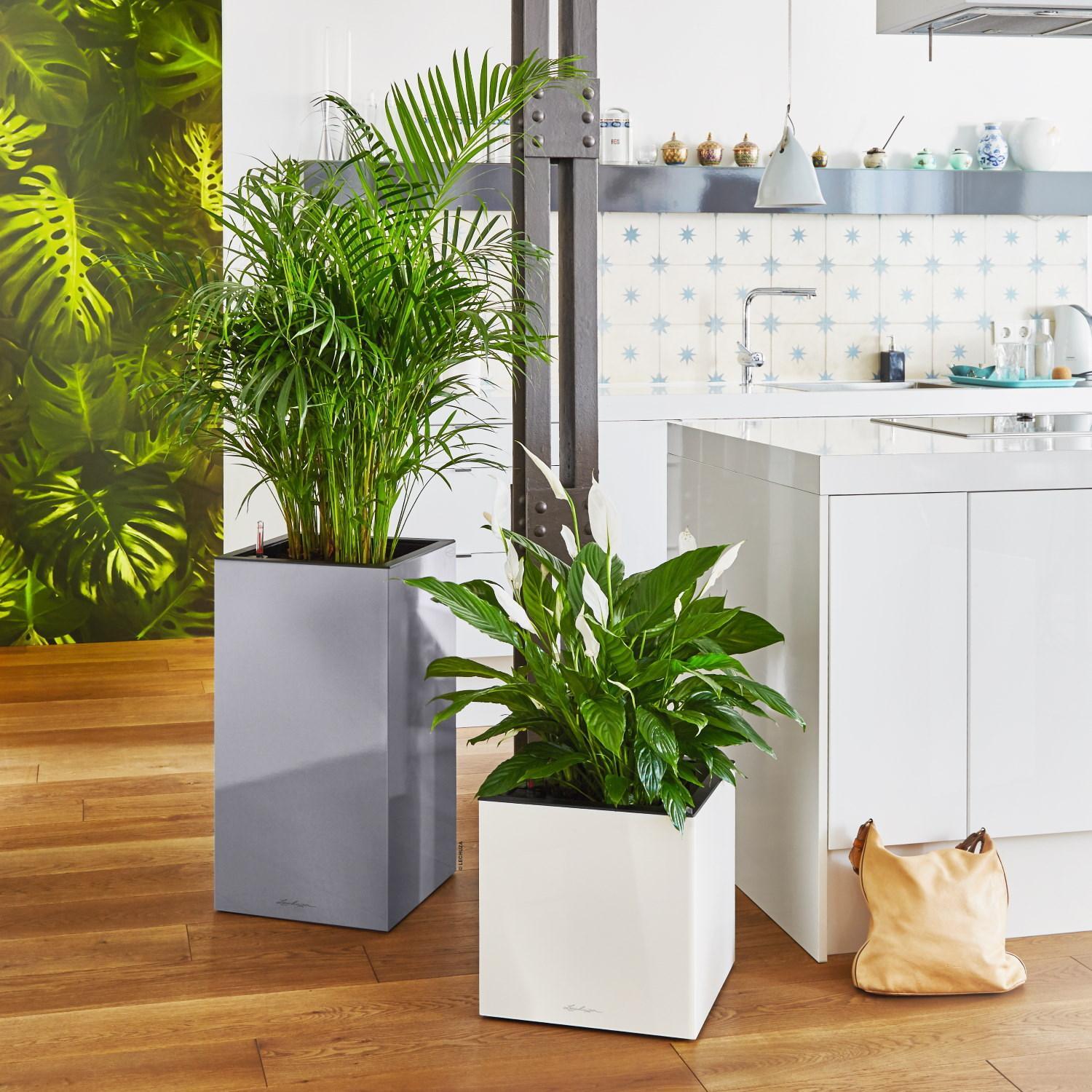 Canto Low Square Self-watering Planter
