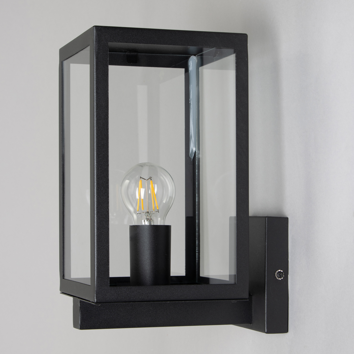 Cetus Outdoor Glass Panel Wall Light