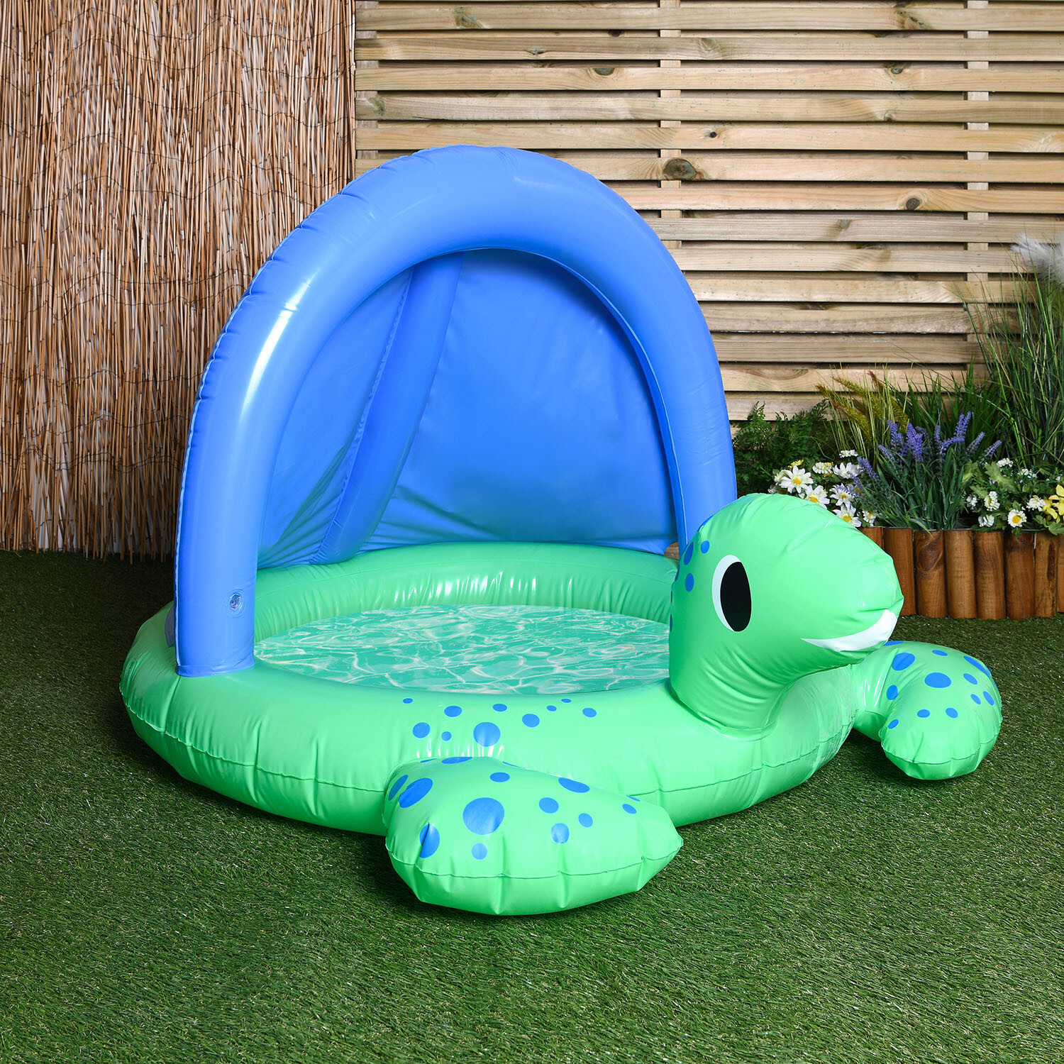Baby Turtle Pool
