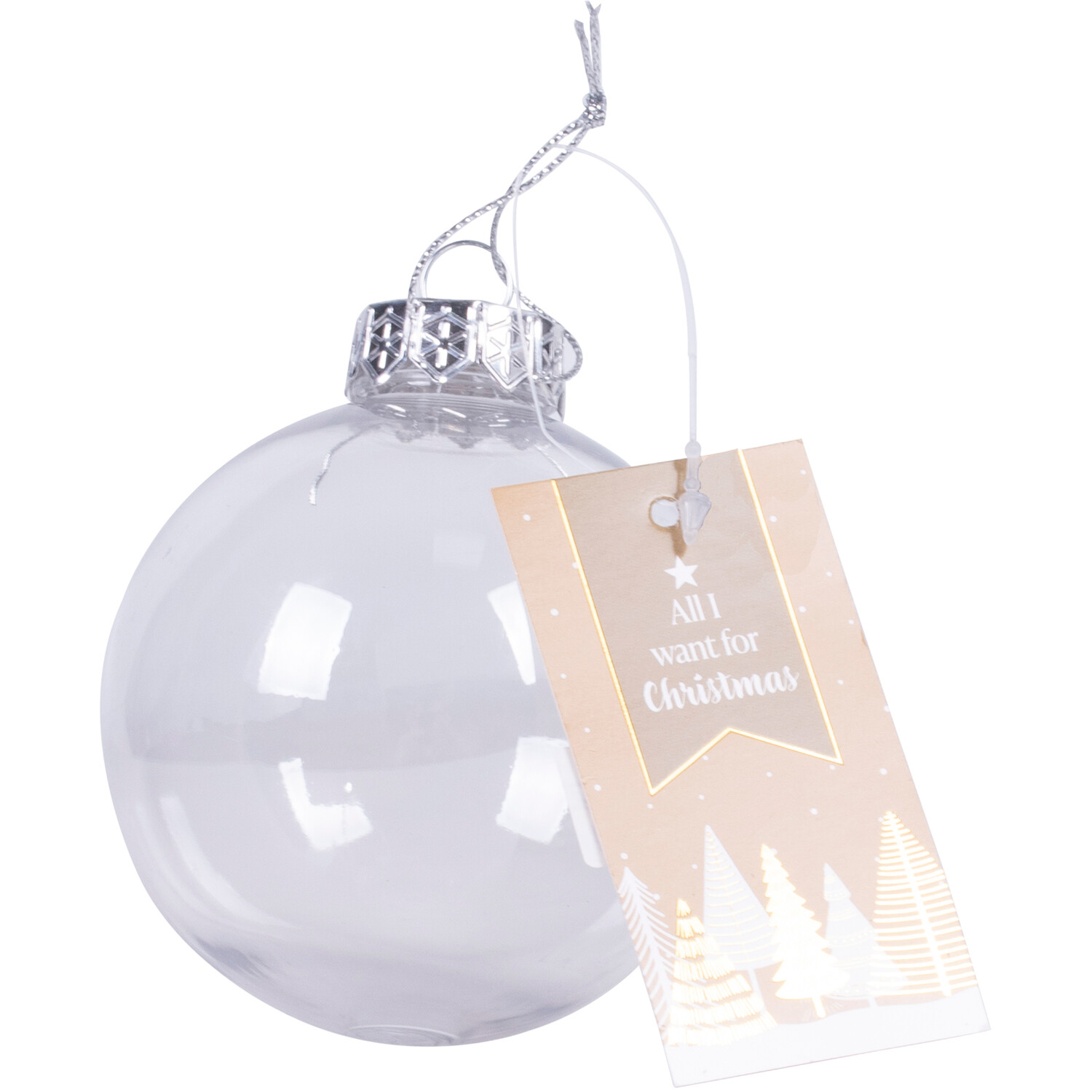 Large Fillable Bauble