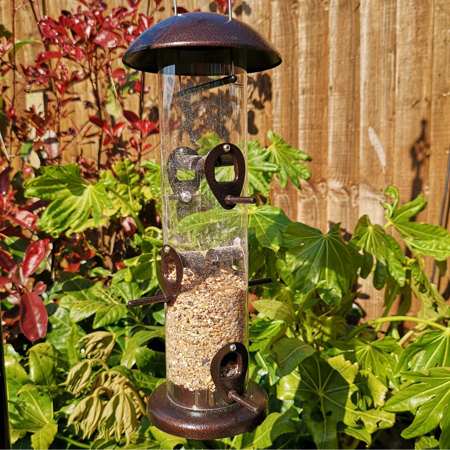 Heavy Duty Flick Top 6 Port Wild Bird Hanging Copper Effect Metal Seed ...