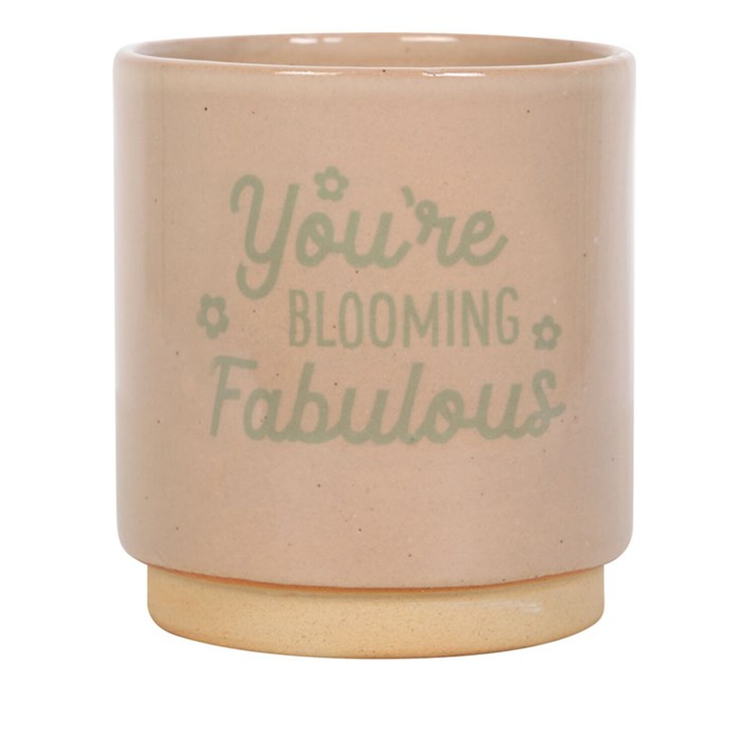 Speckle Blooming Fabulous Text Dolomite Plant Pot
