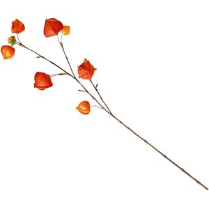 Artificial Single Chinese Lantern Flower Stem L74cm