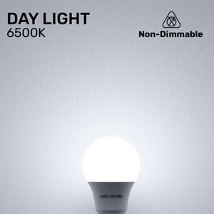 60w LED GLS Non-Dimmable E27 Day Light 6500K Bulb