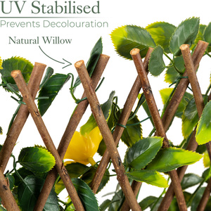 Expanding Artificial Trellis with Flowers