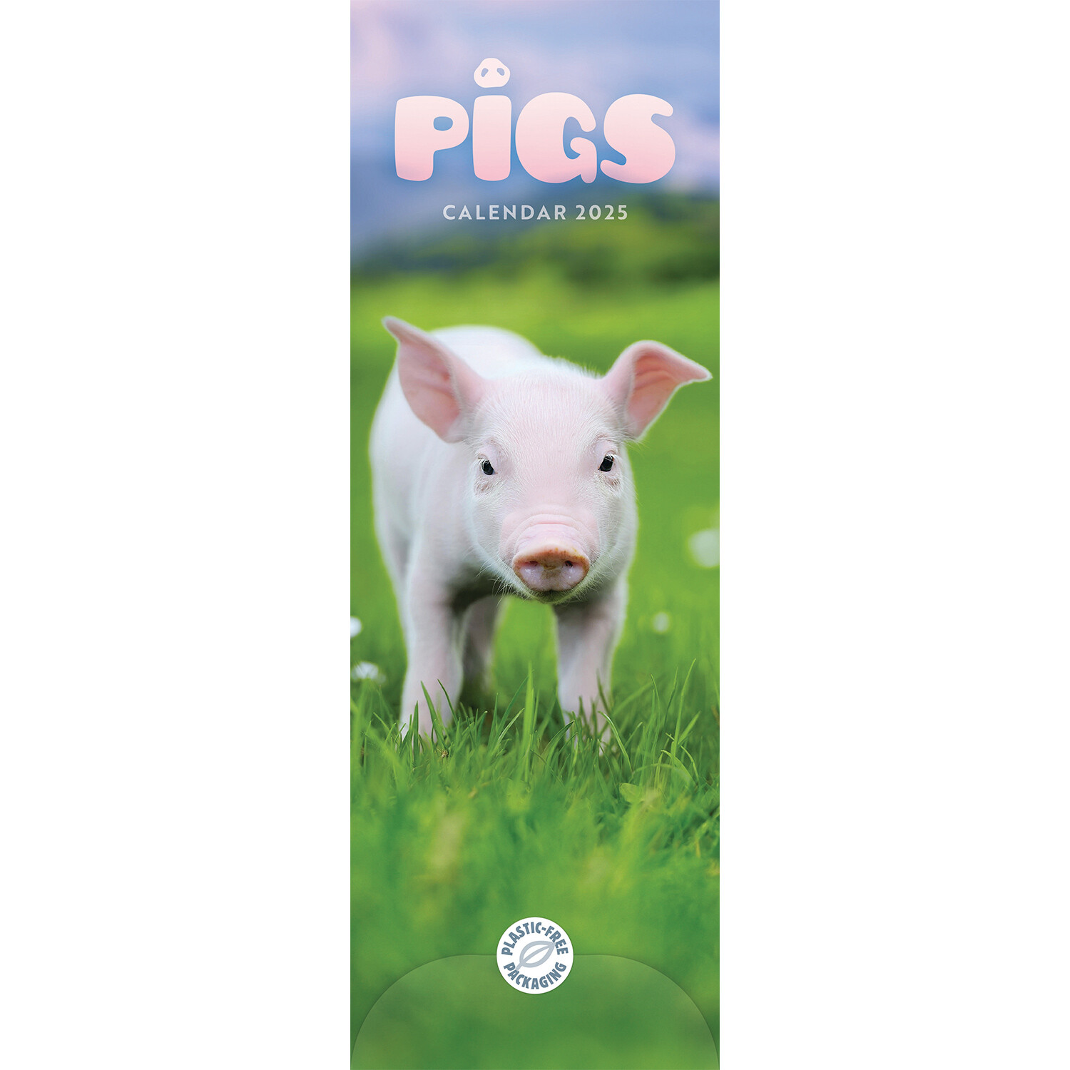 2025 Pigs Slim Calendar