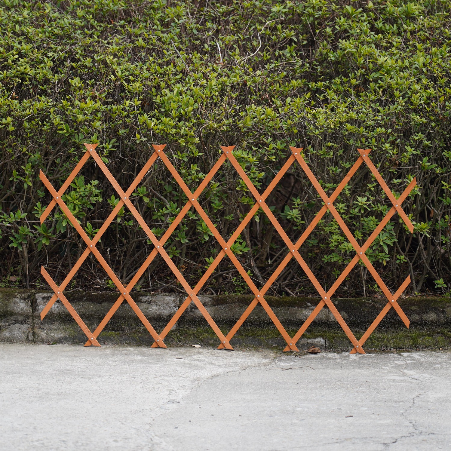 Expandable Garden Wooden Trellis Fence 5ft Plant Support