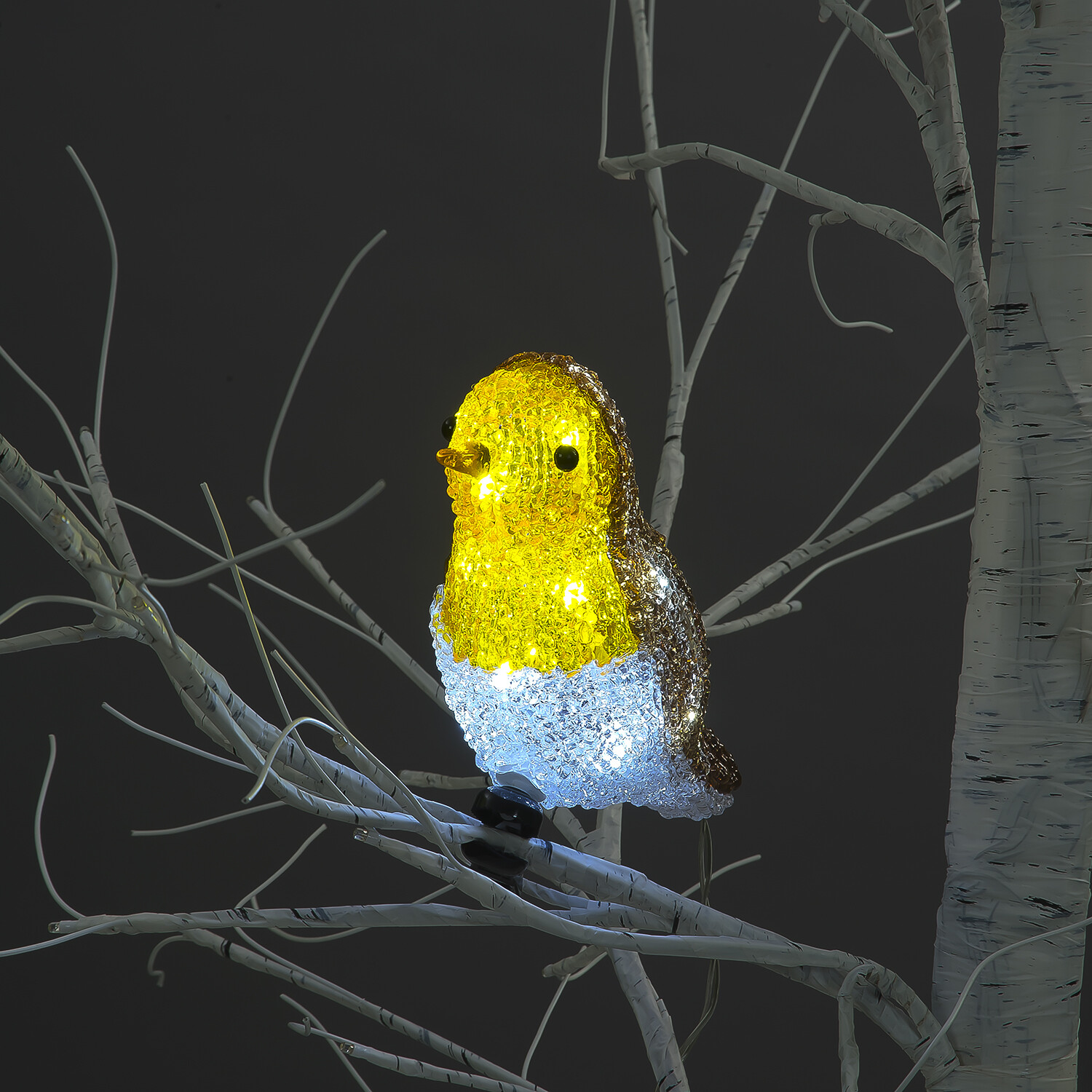 18cm Acrylic Bird With LEDs