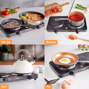 Portable Electric Double Hot Plate