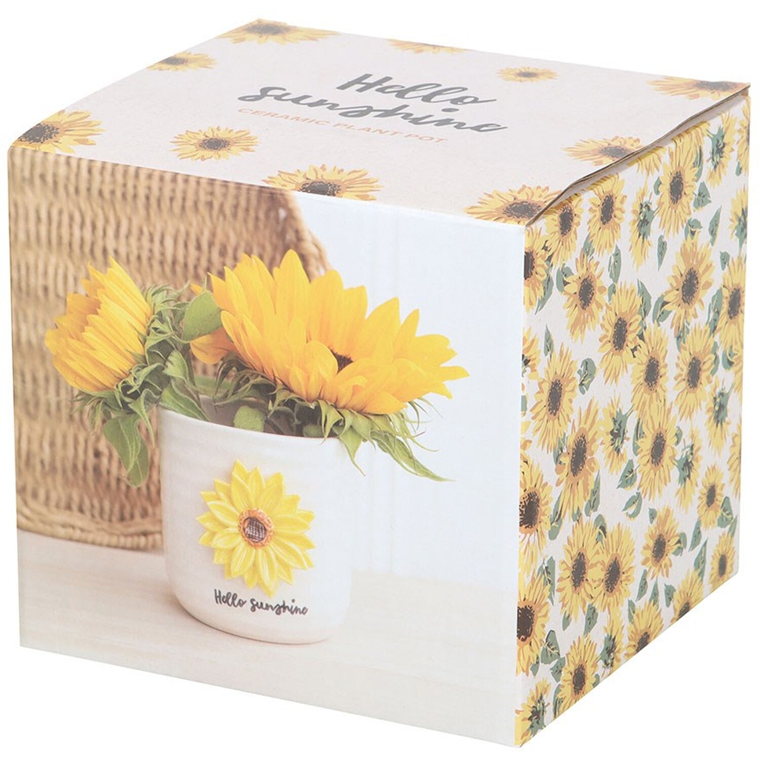 Ceramic Indoor 3D Sunflower Plant Pot