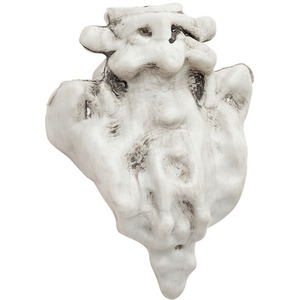 Halloween Realistic Skeleton Decoration Kit