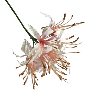 Artificial Nerine Flower Stem