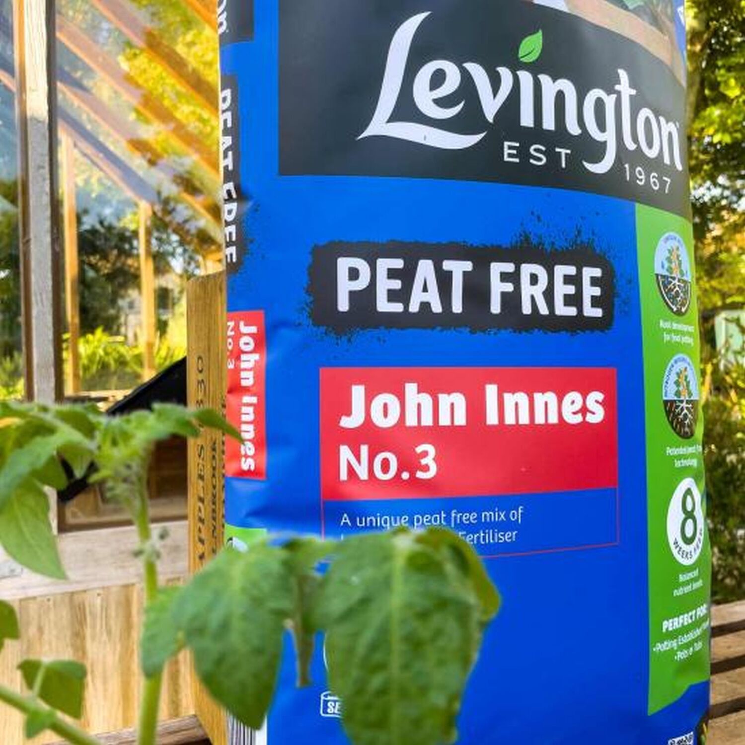 25L John Innes Compost No3 Peat Free
