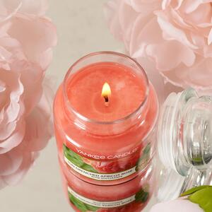 Yankee Scented Candle