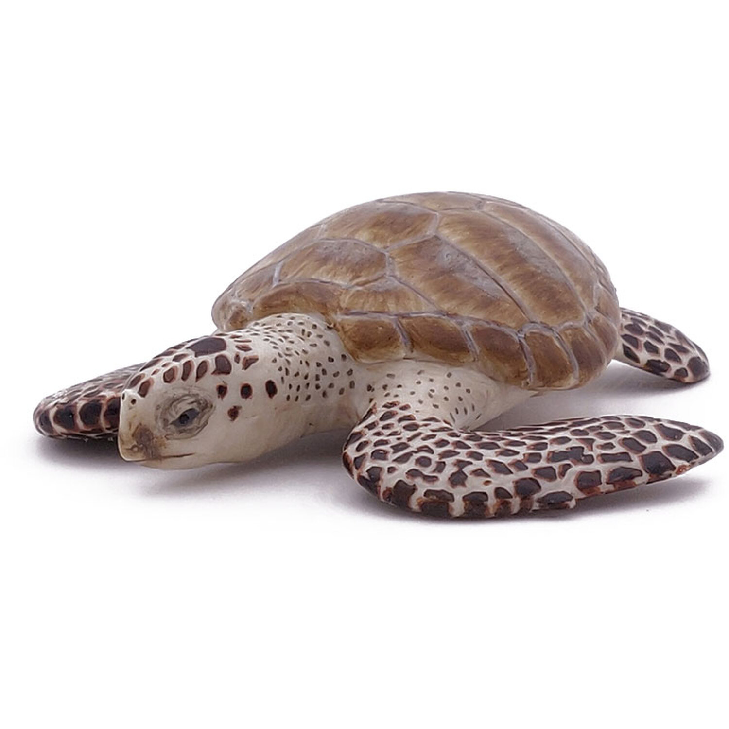 PAPO Marine Life Loggerhead Turtle Toy Figure