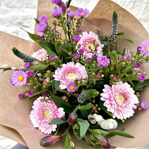 Pretty Germini Selection