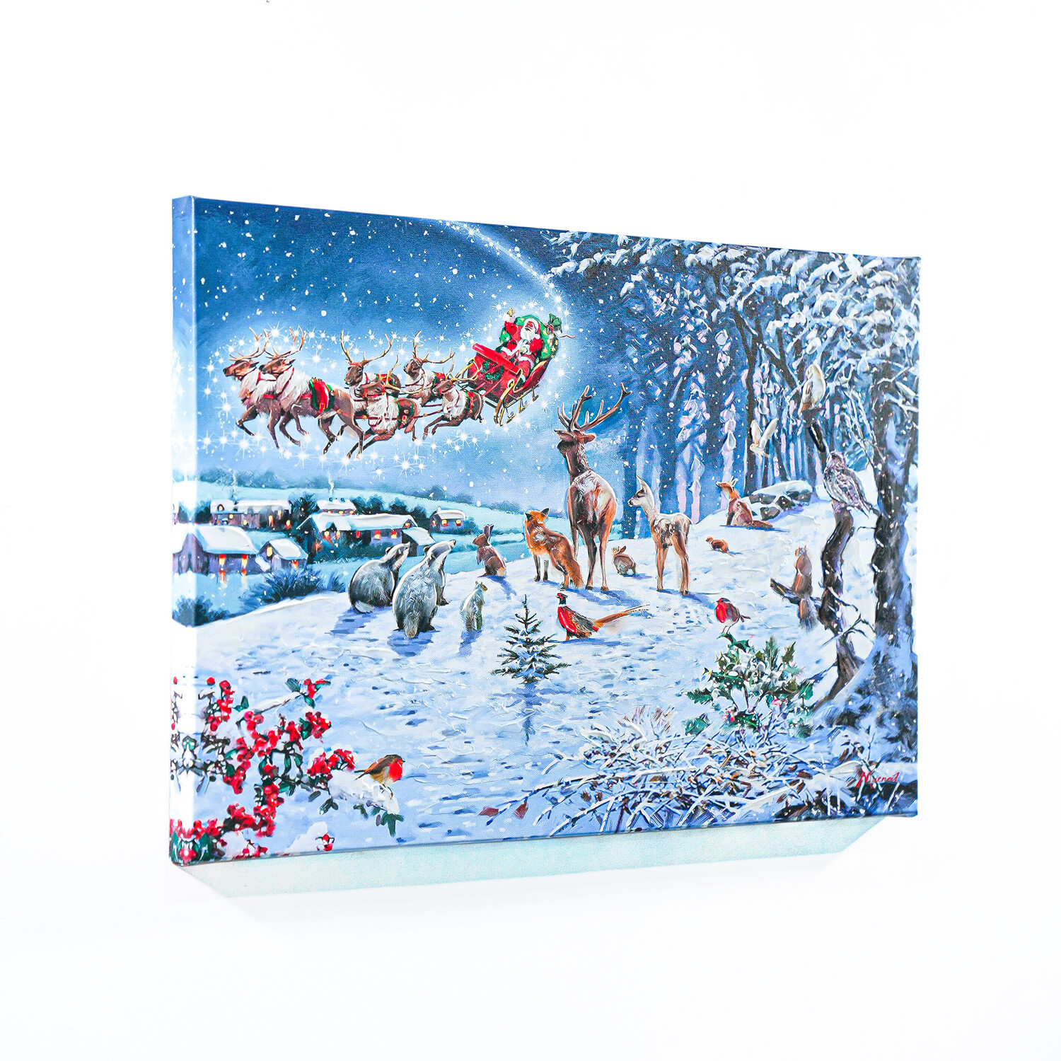 Macneil Wildlife Watching Santa Canvas