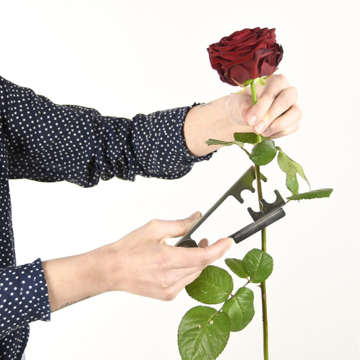 Primrose Rose Stripper Thorn and Leaf Remover Tool