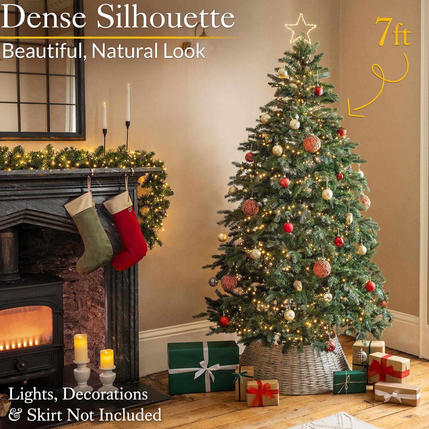 Fraser Fir Christmas Tree