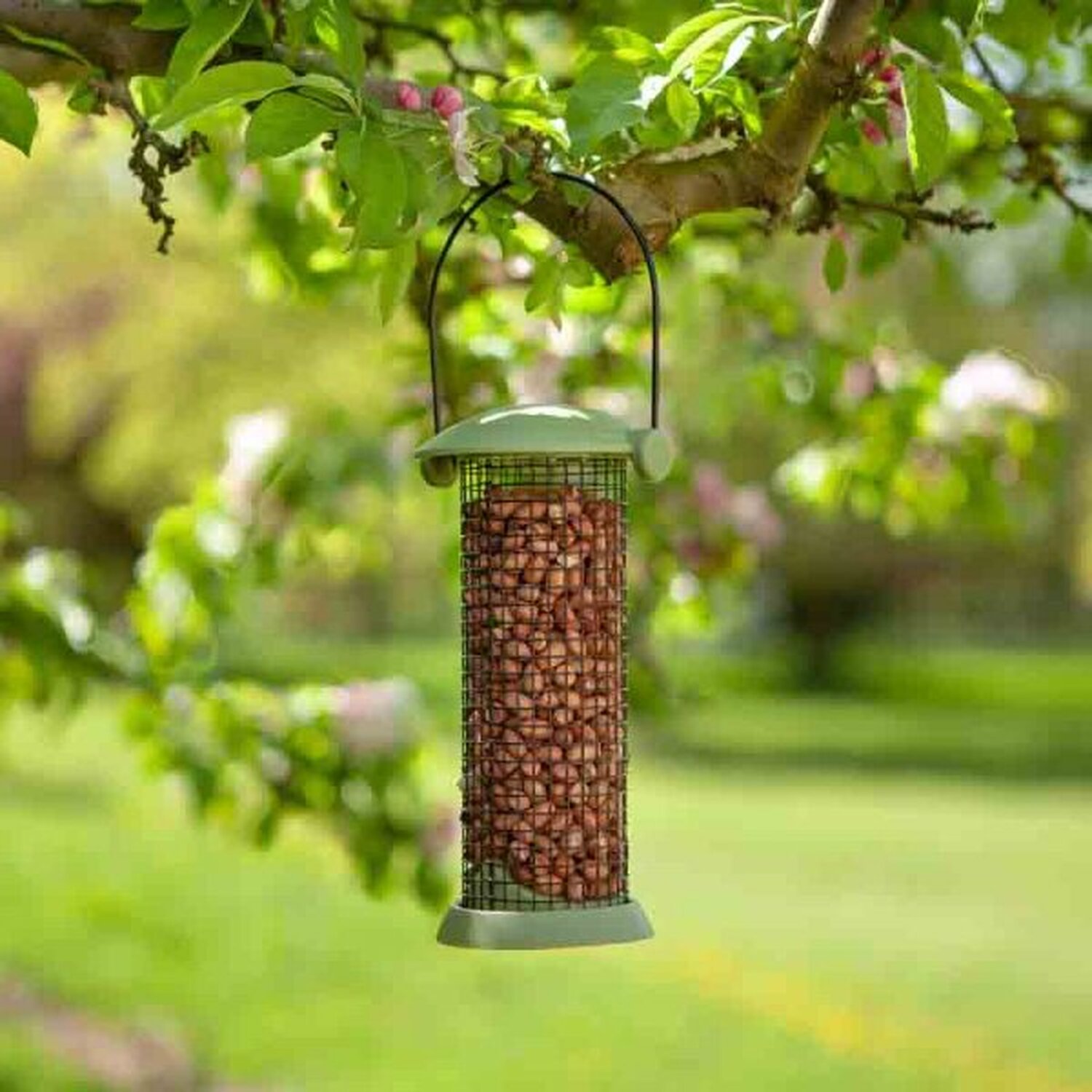 Hanging Nut Bird Feeder