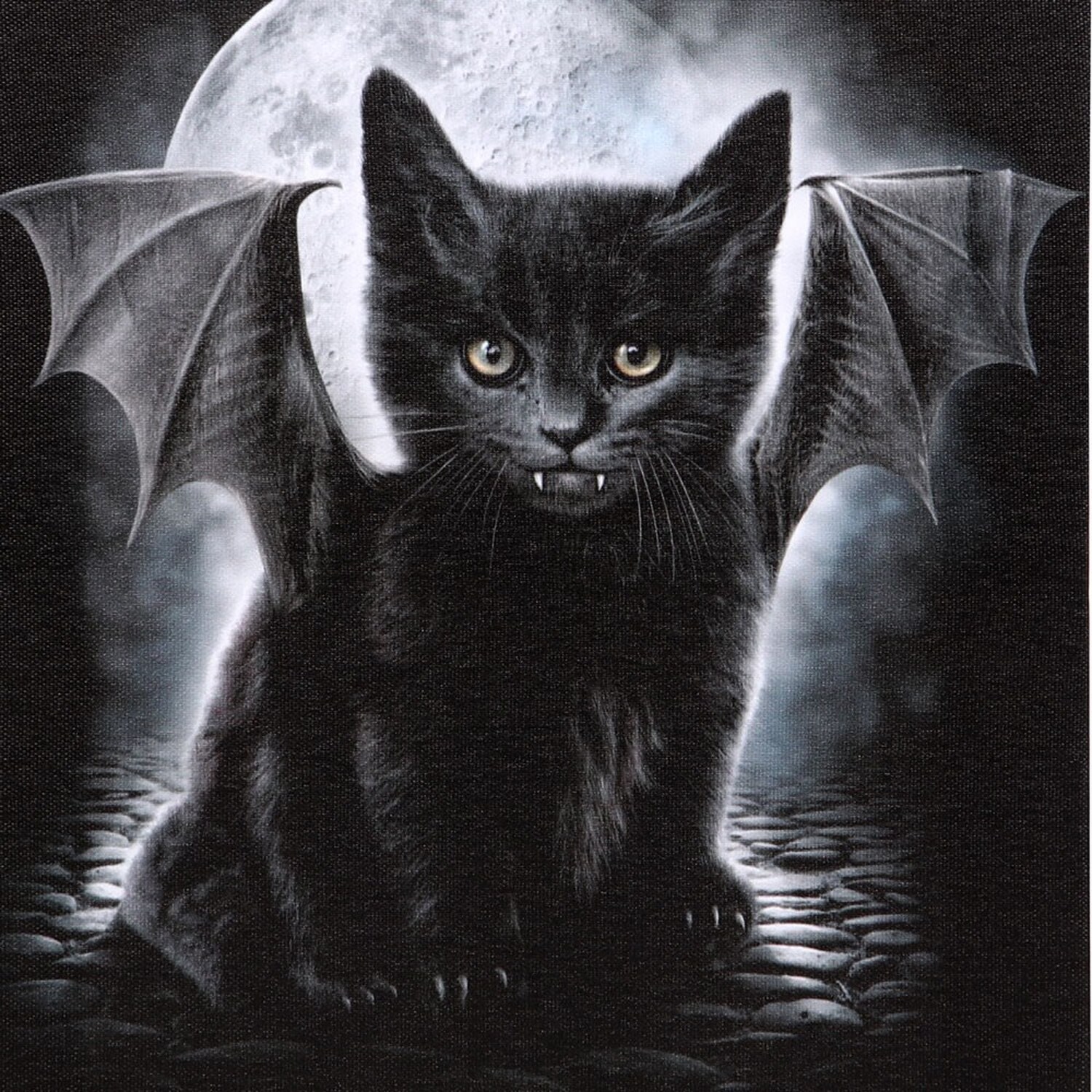 Bat Cat Canvas Plaque