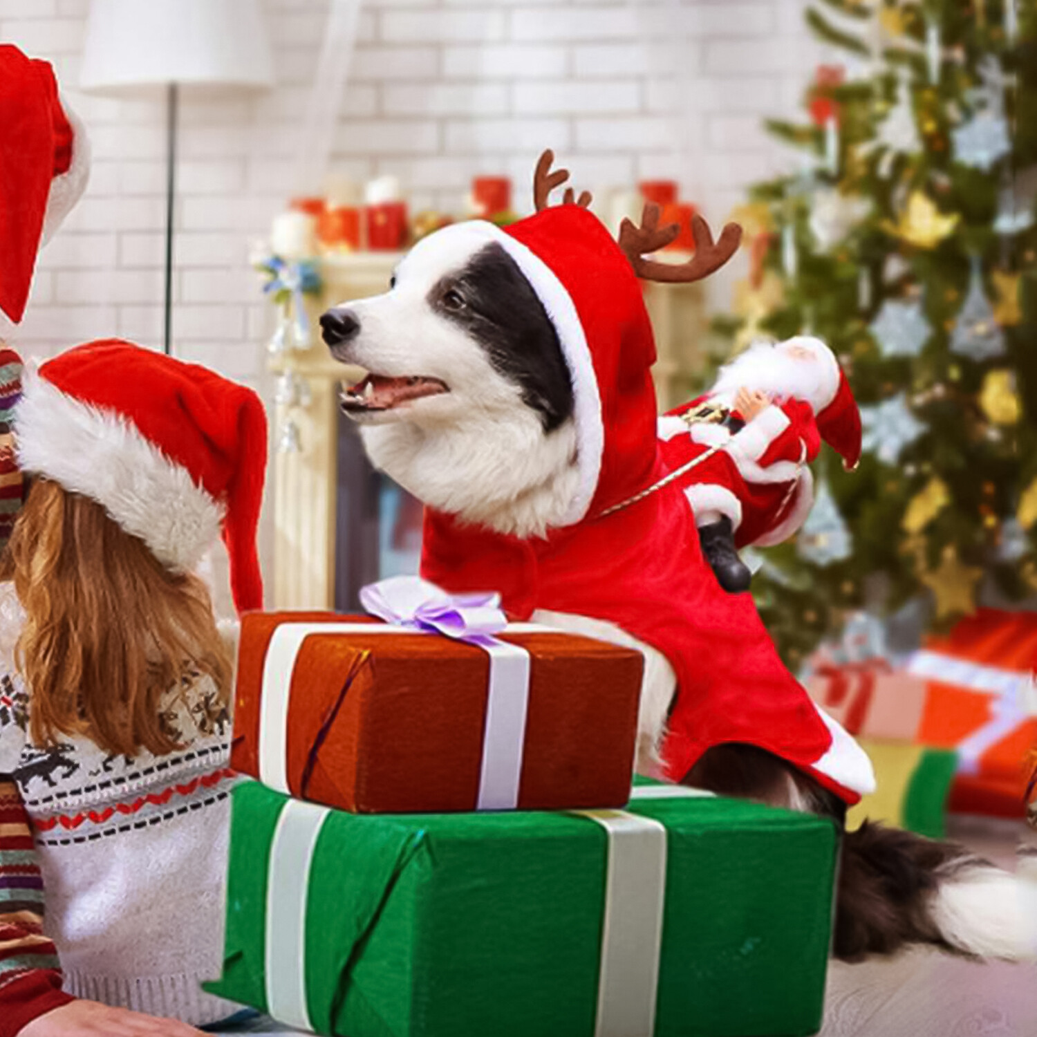 Christmas Santa Riding Dog Costume