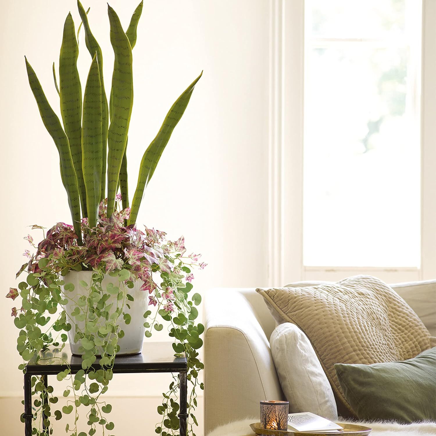 Artificial Urban Planter with 3 Houseplants