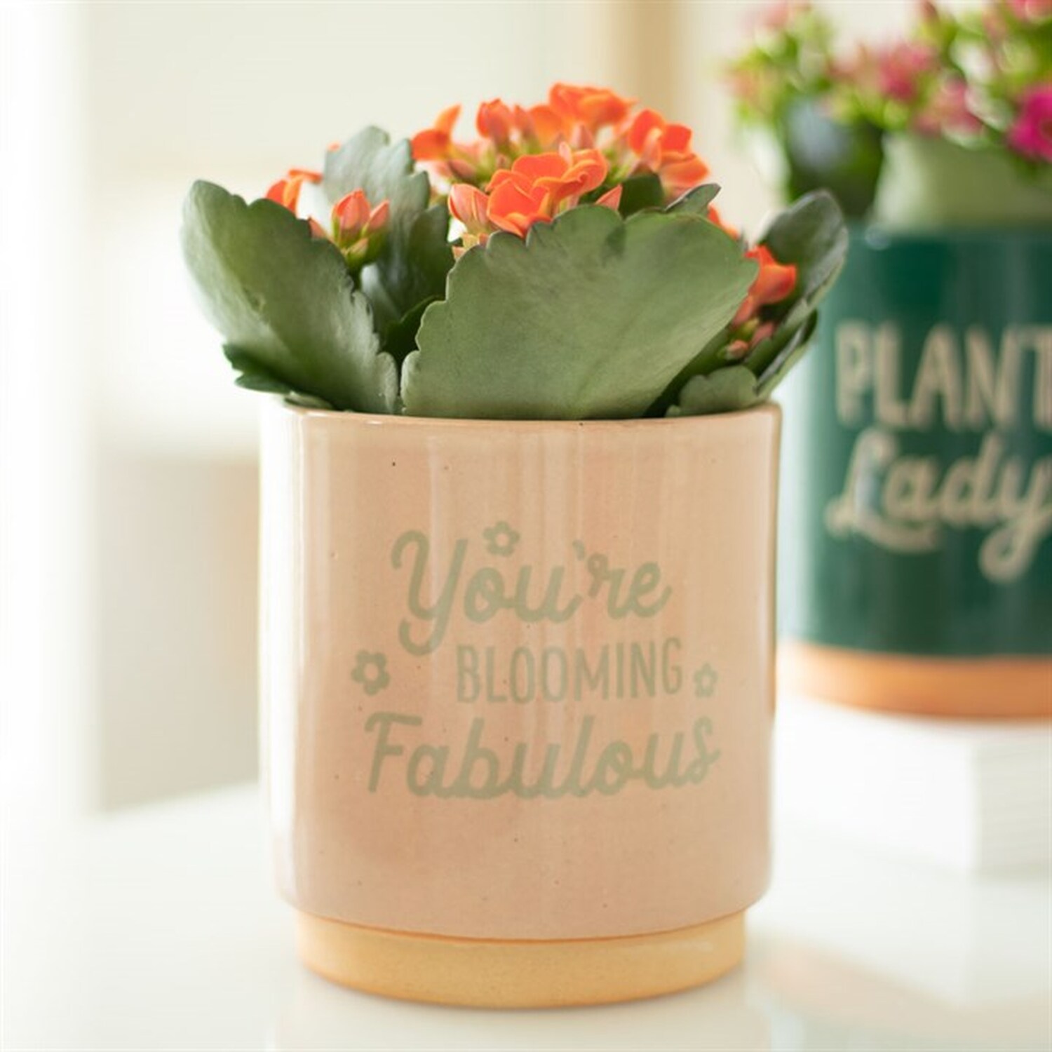 Speckle Blooming Fabulous Text Dolomite Plant Pot