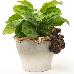 Koala and Cub Plant Pot Hanger