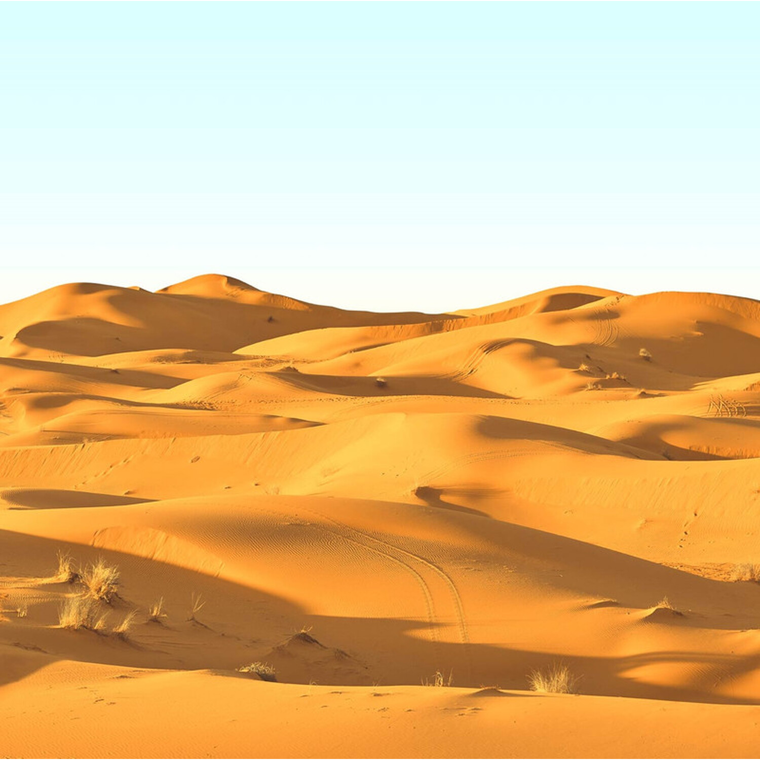 Sahara Nights Desert Landscape Wallpaper