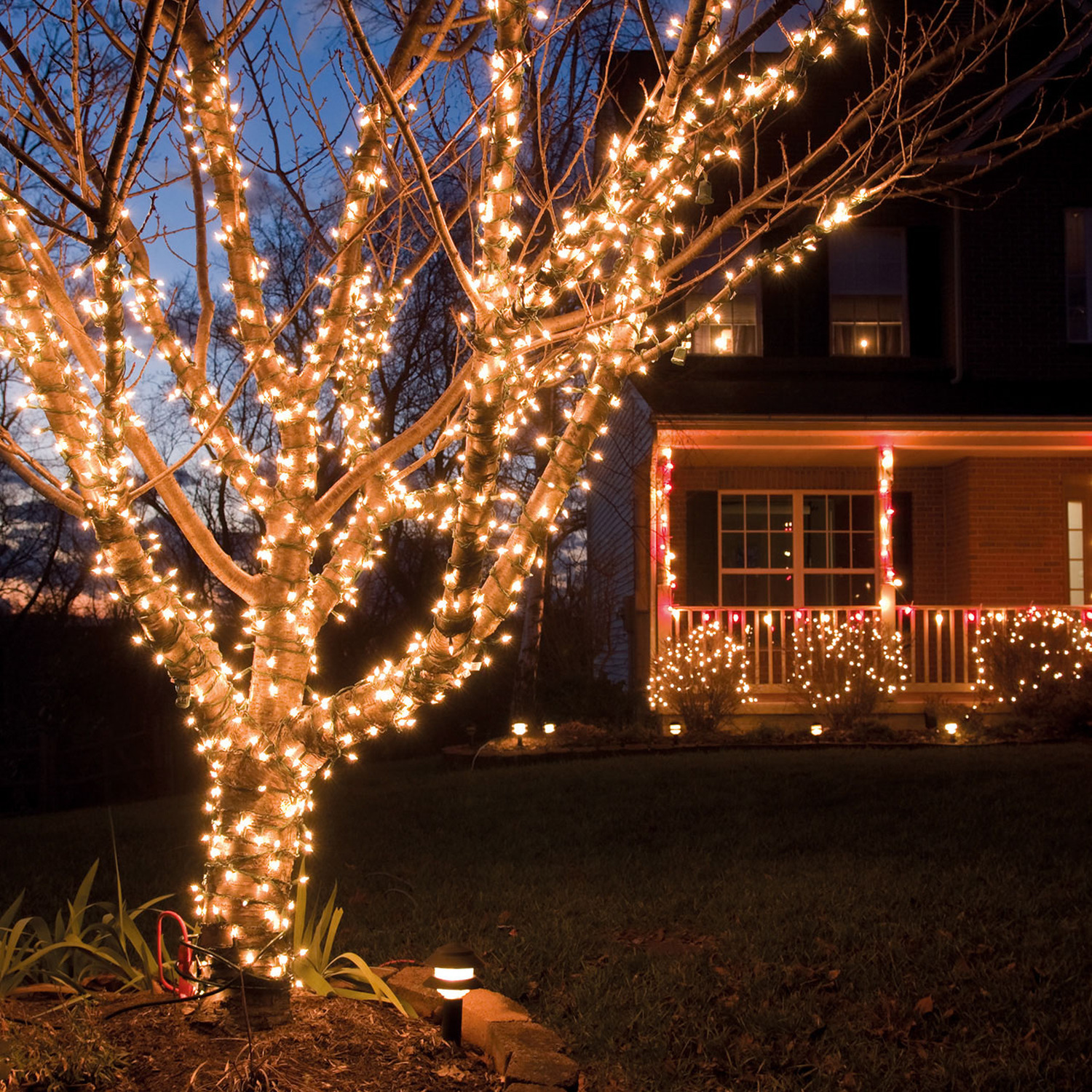 8-function Indoor or Outdoor 400 LED String Lights