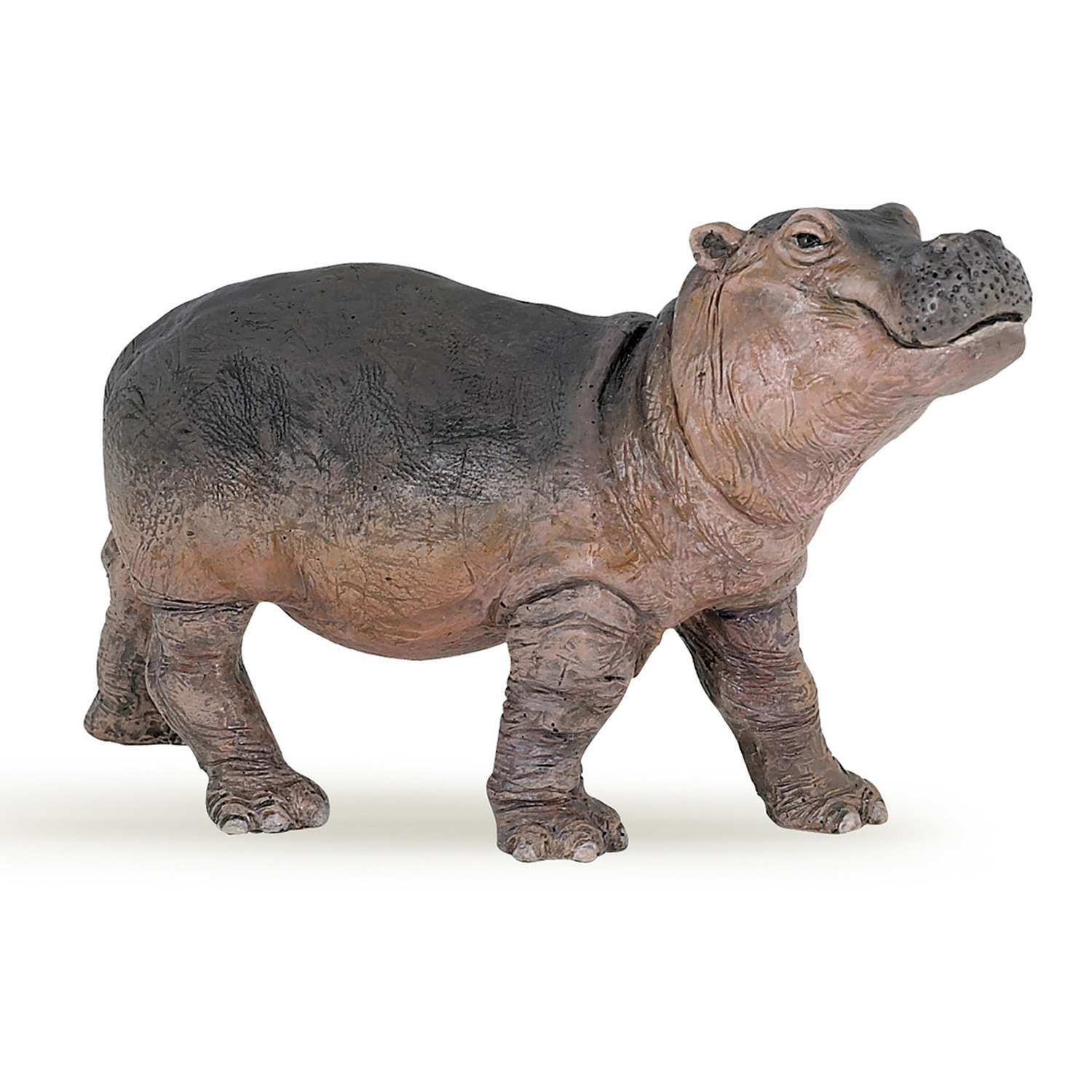 PAPO Wild Animal Kingdom Hippopotamus Calf Toy Figure